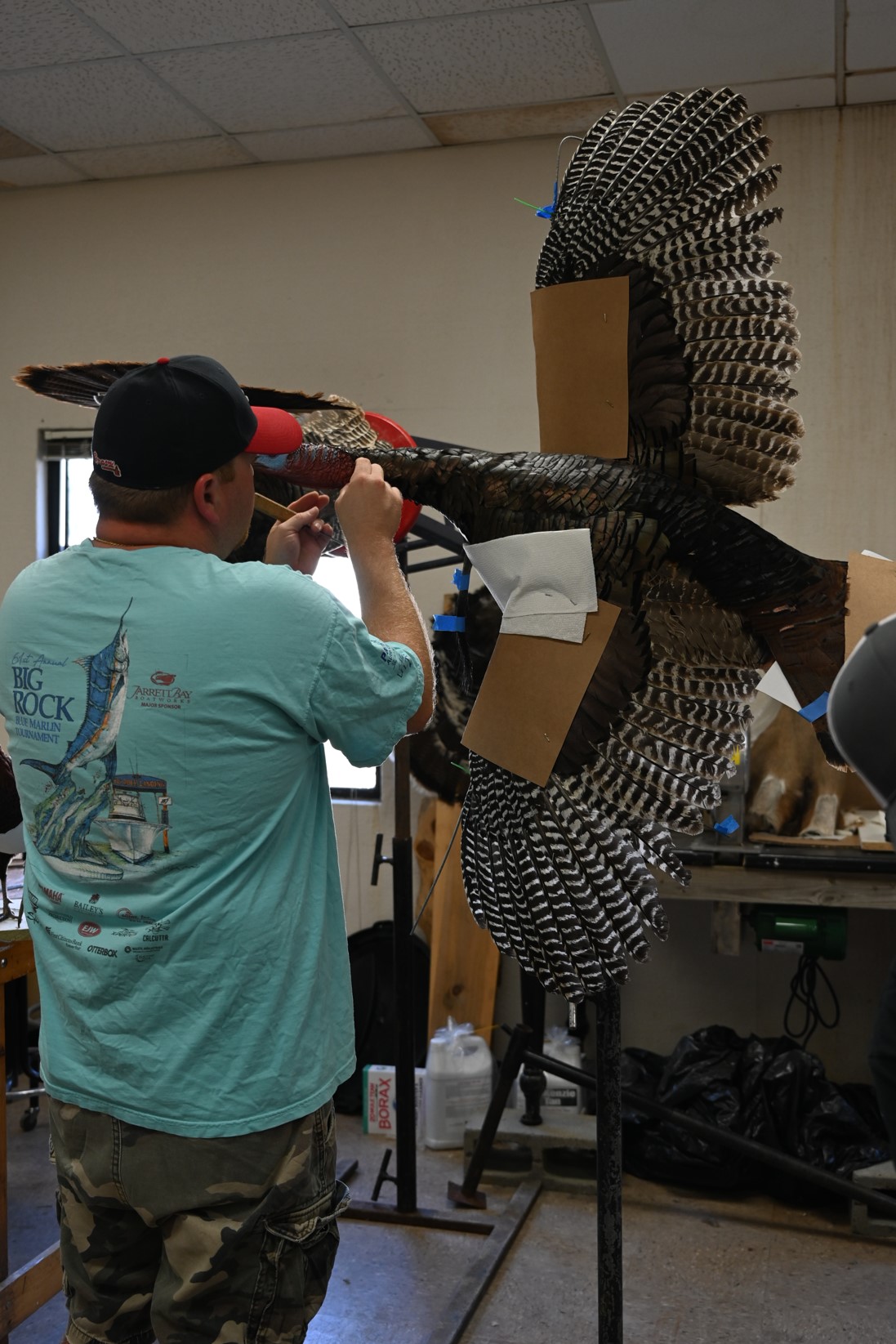 Fundamentals of Taxidermy – Piedmont Community College