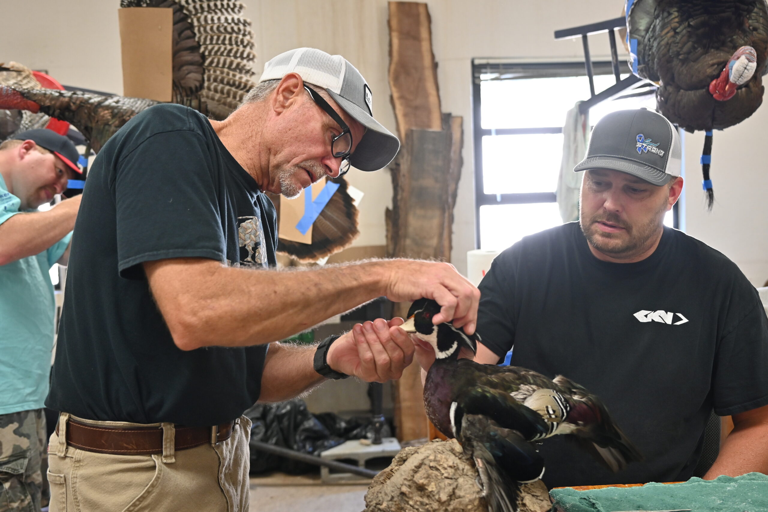 Fundamentals of Taxidermy - Piedmont Community College