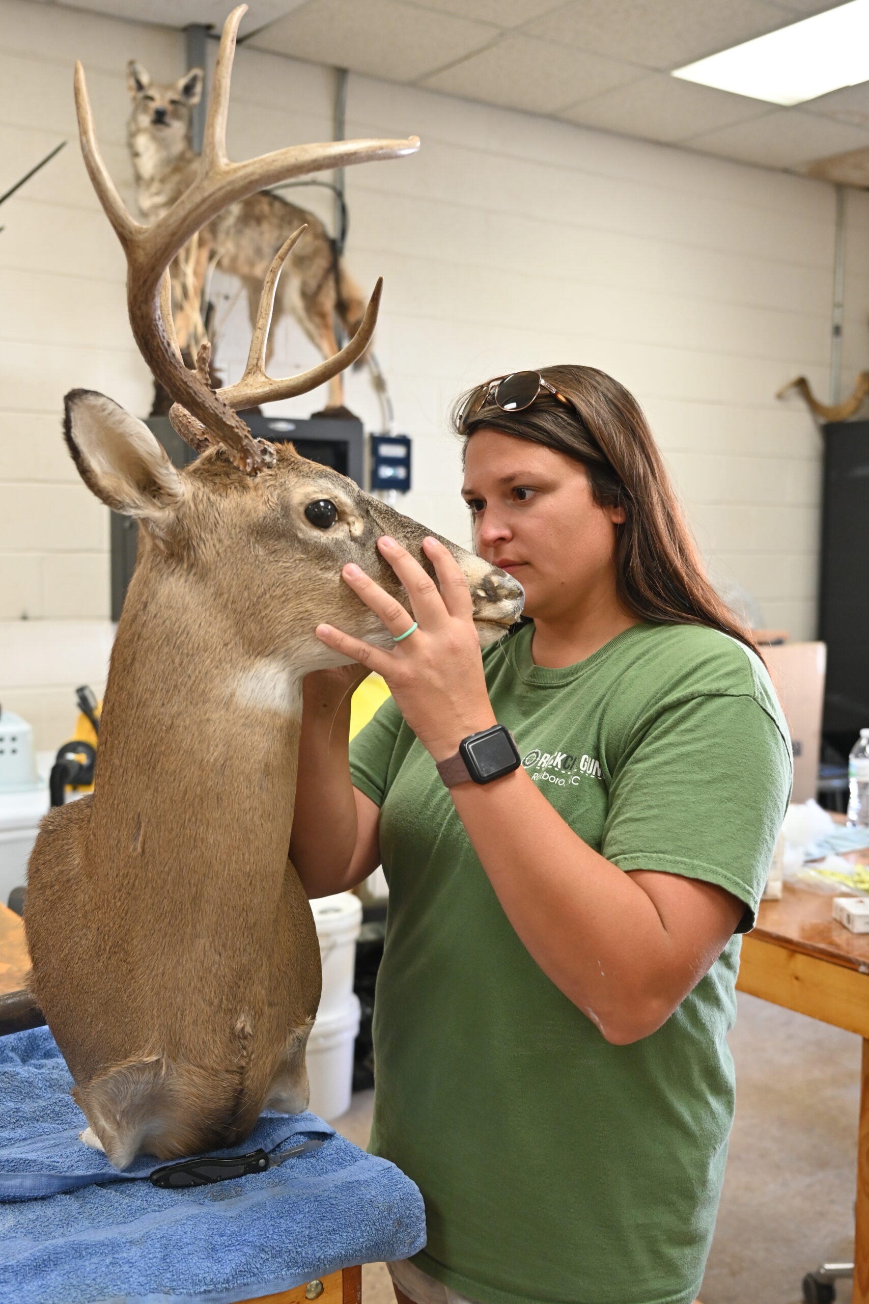 Fundamentals of Taxidermy – Piedmont Community College