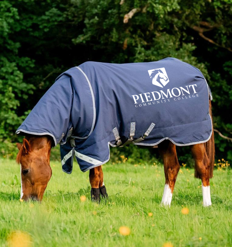 PCC Introduces Equestrian Program - Piedmont Community College