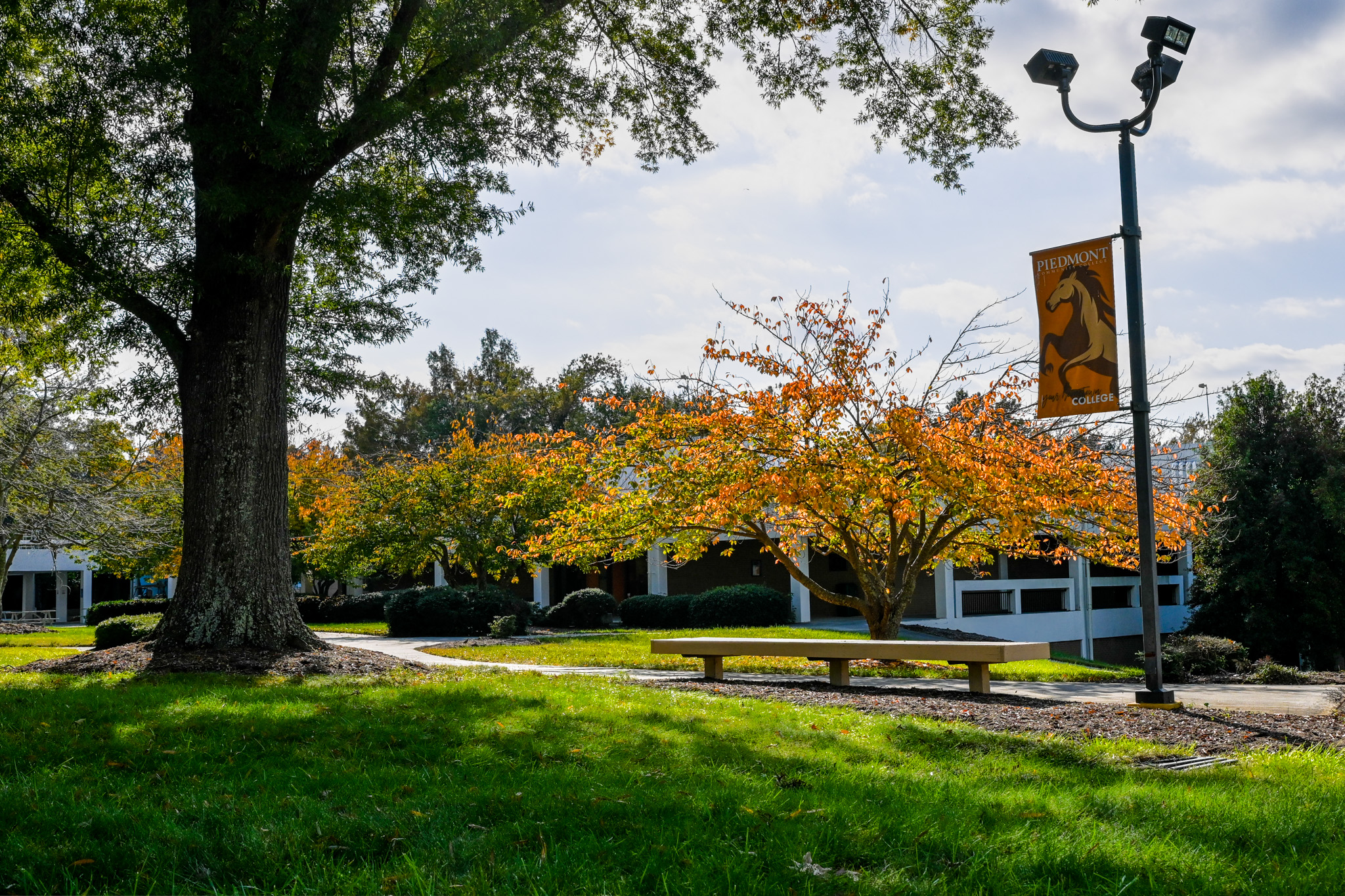 PCC Foundation Receives $655,000 in Funding from the Golden LEAF Foundation to Expand Programs ...